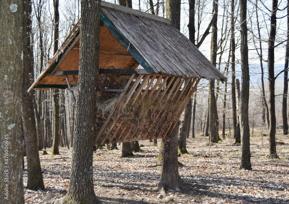 Wooden feeder or manger for wild animals in the forest. Feeding trough ...
