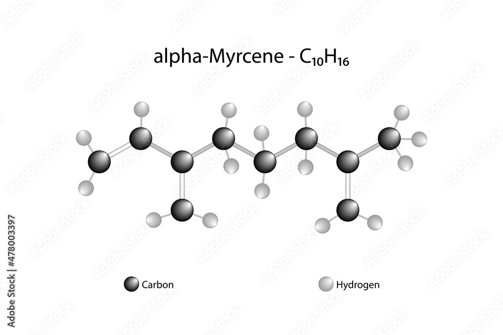Molecular formula of myrcene. Myrcene is an alkene natural hydrocarbon ...