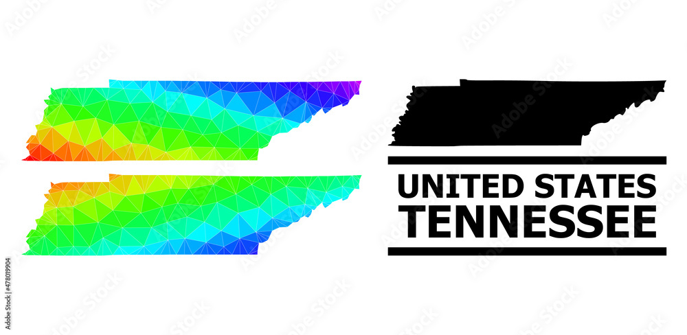 Vector lowpoly spectrum colored map of Tennessee State with diagonal ...