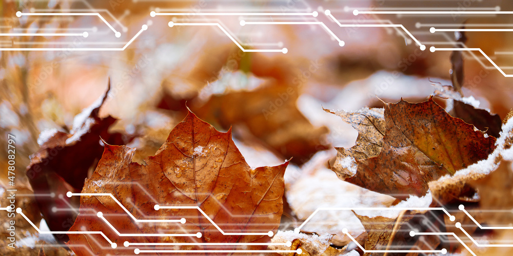 innovation concept - Banner Environment - Graphic resources for ...