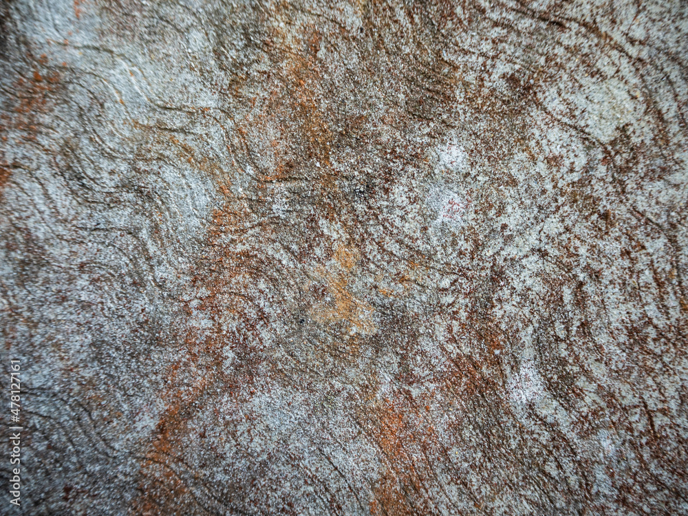 imagen textura pared de cemento rallado Stock Photo | Adobe Stock