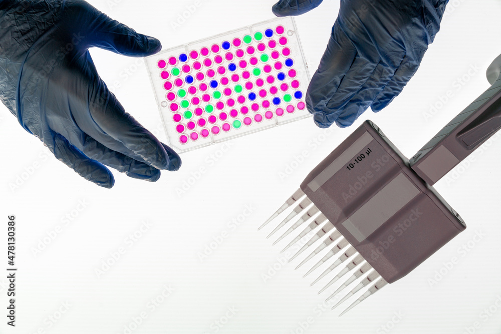Enzyme-linked immunosorbent assay (ELISA) 96 well micro plate ...