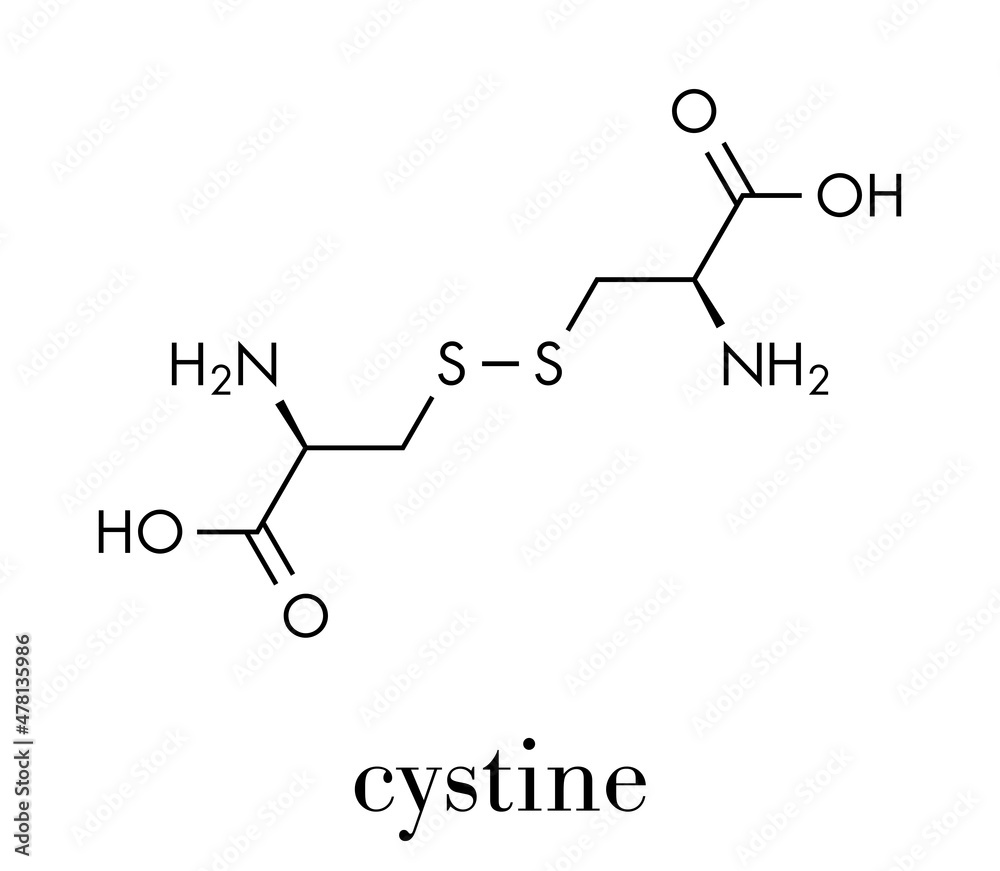 Cystine molecule. Oxidized dimer of the amino acid cysteine. Skeletal ...