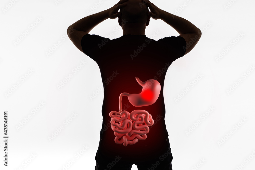 Human gastrointestinal tract. Stomach and intestines with red spot ...