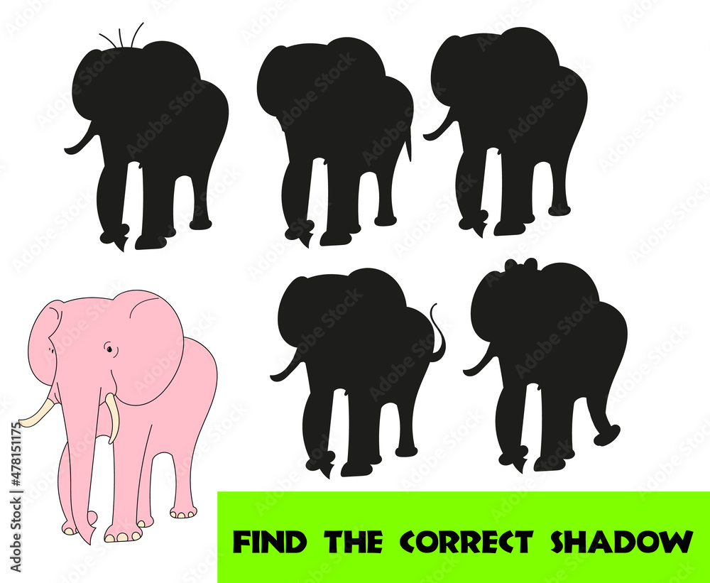 Educational game for children with animals. Find the shadow of an ...