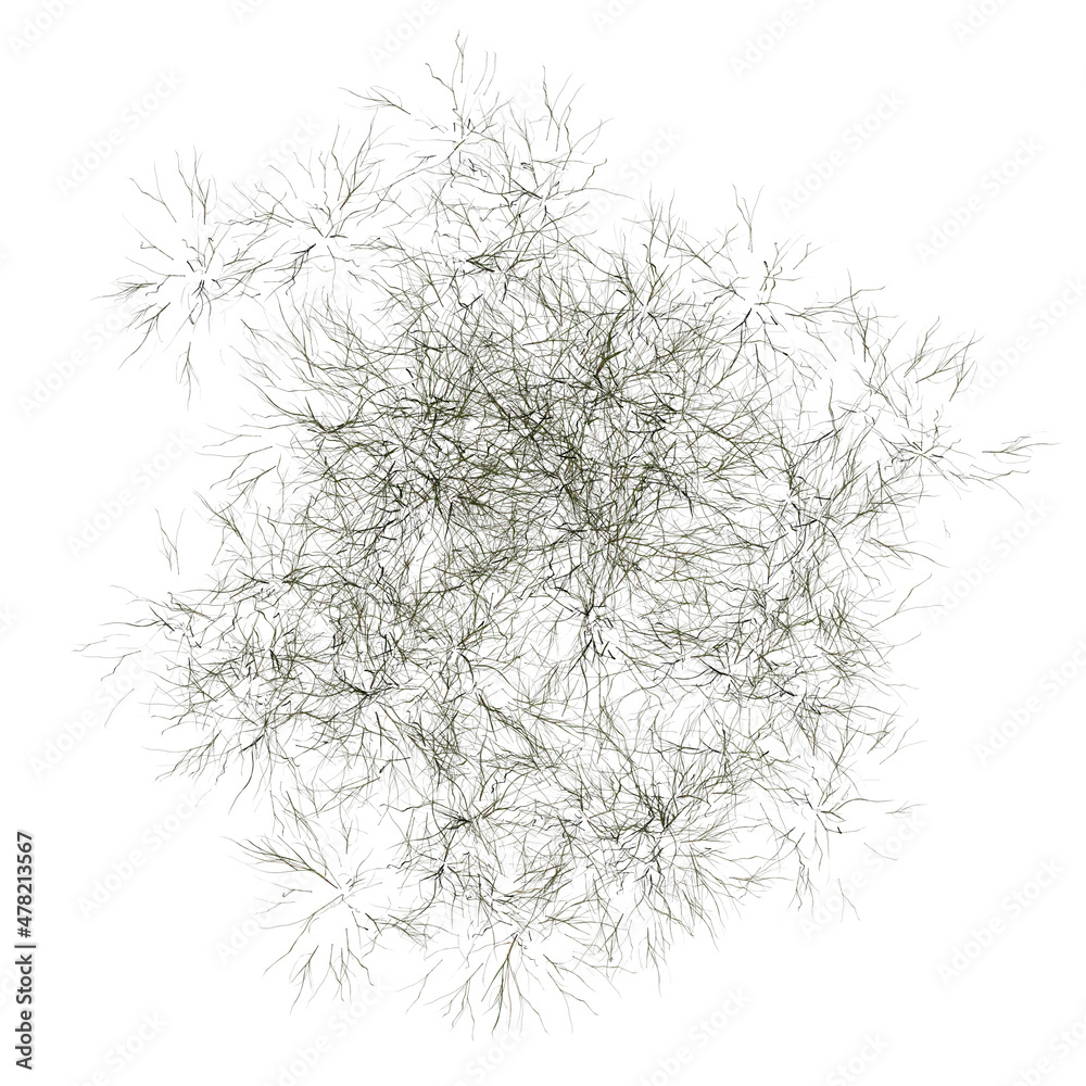 VEGETATION TOP VIEW - TREES PLANTS AND BUSHES IN PLAN Stock ...