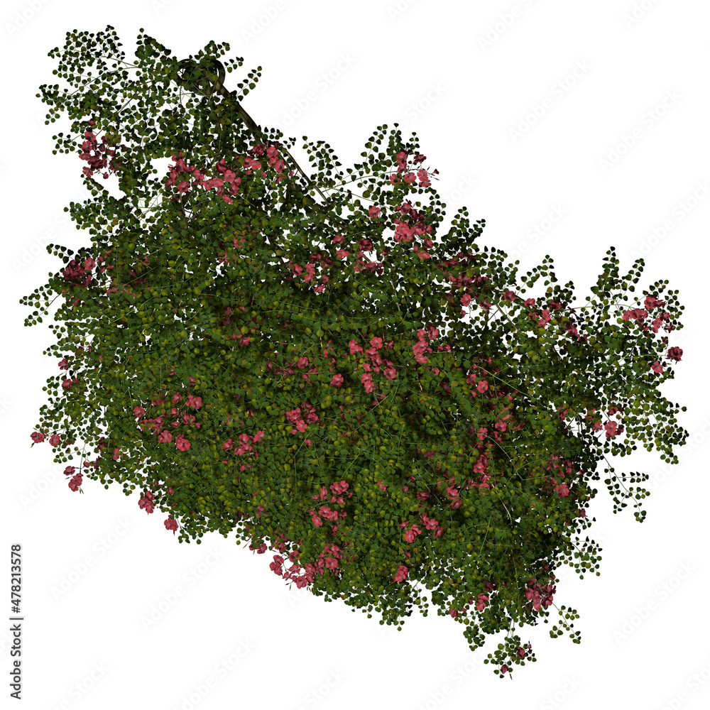 VEGETATION TOP VIEW - TREES PLANTS AND BUSHES IN PLAN Stock ...