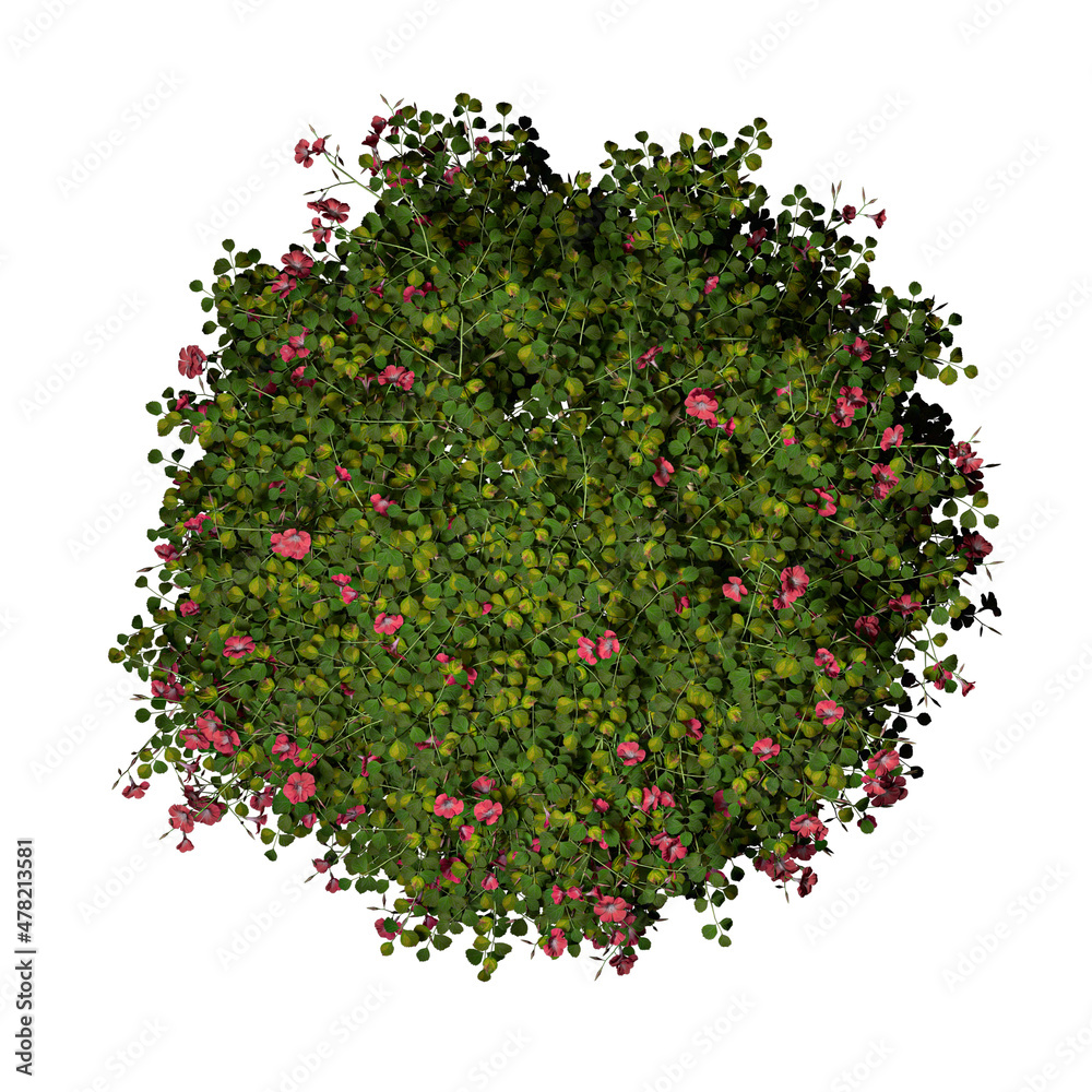 VEGETATION TOP VIEW - TREES PLANTS AND BUSHES IN PLAN Stock ...