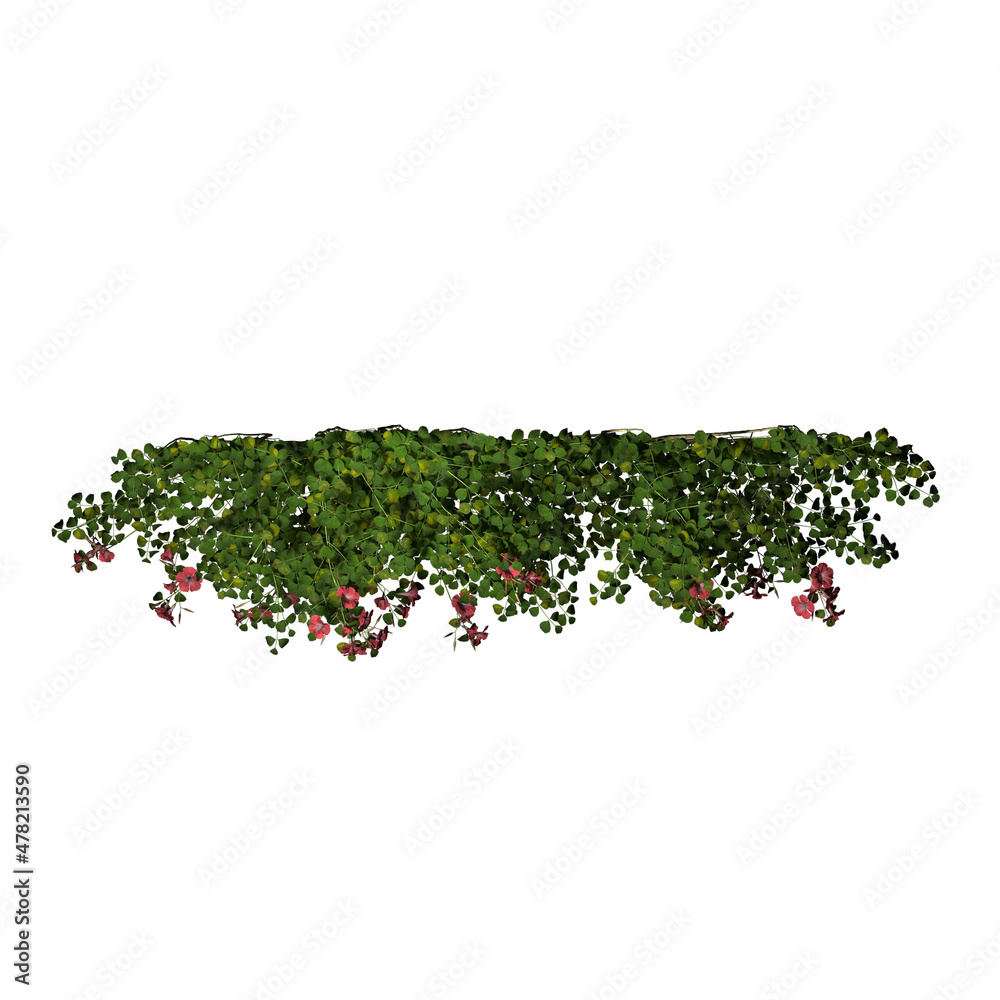 VEGETATION TOP VIEW - TREES PLANTS AND BUSHES IN PLAN Stock ...