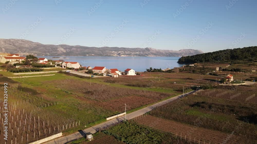 Lumbarda village standing over seaside of Croatia, vineyards on ...