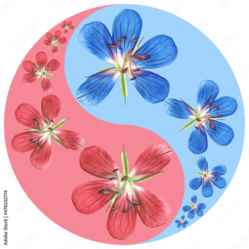 Floral symbol Yin-Yang. Forest geranium. Geometric pattern of Yin-Yang ...