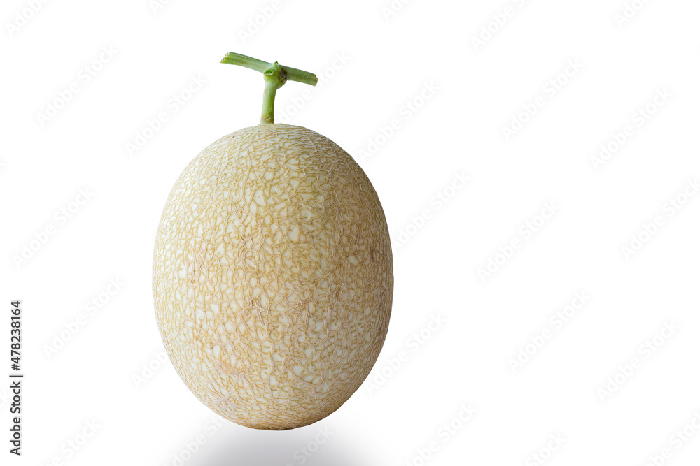 One melon isolated on white background. Close up and dicut of a whole ...