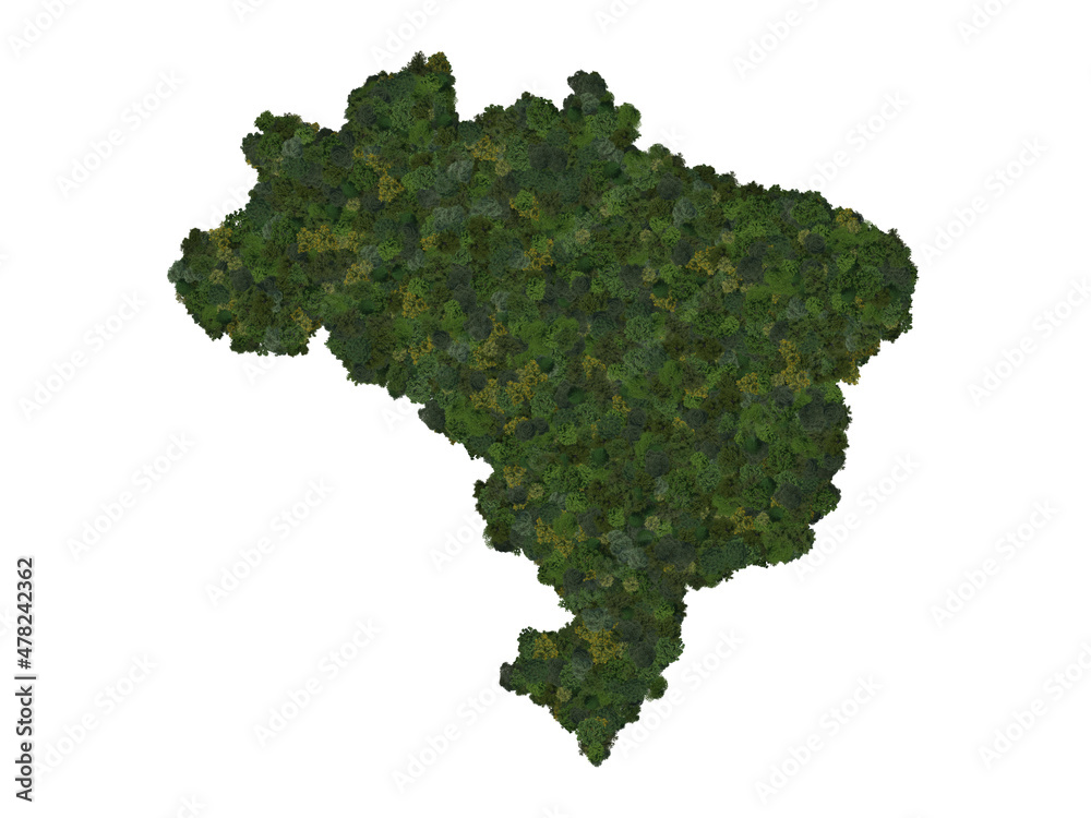 Top view of a forest of trees forming the map of Brazil. Top view ...