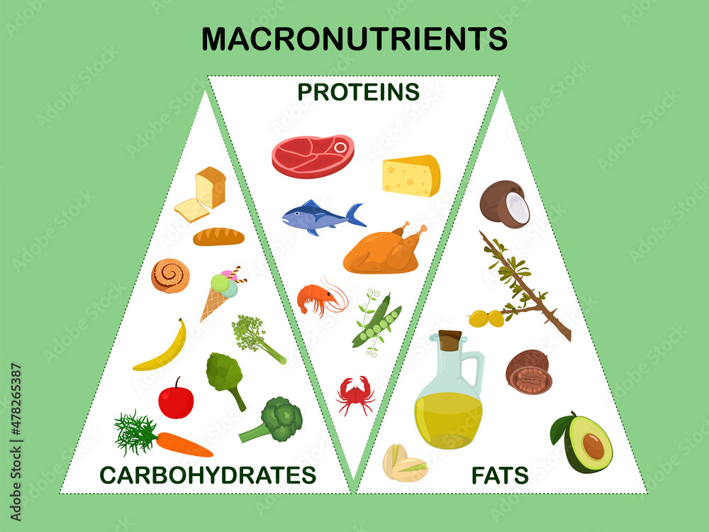 Vector illustration on the topic of the main groups of products ...