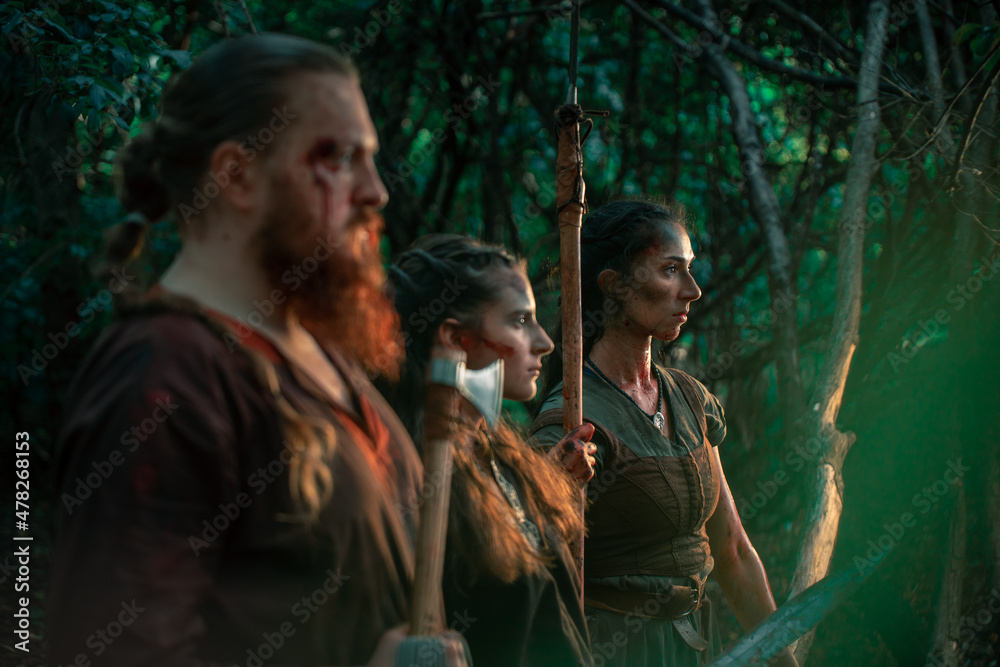 Brave vikings with weapons during battle Stock Photo | Adobe Stock