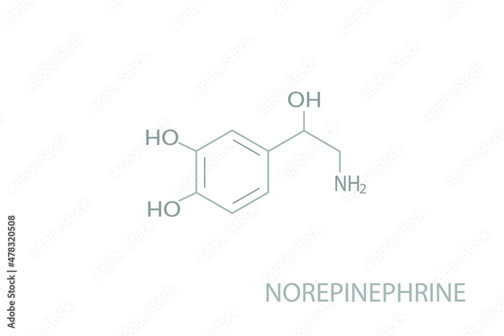 Norepinephrine molecular skeletal chemical formula. Stock Vector ...