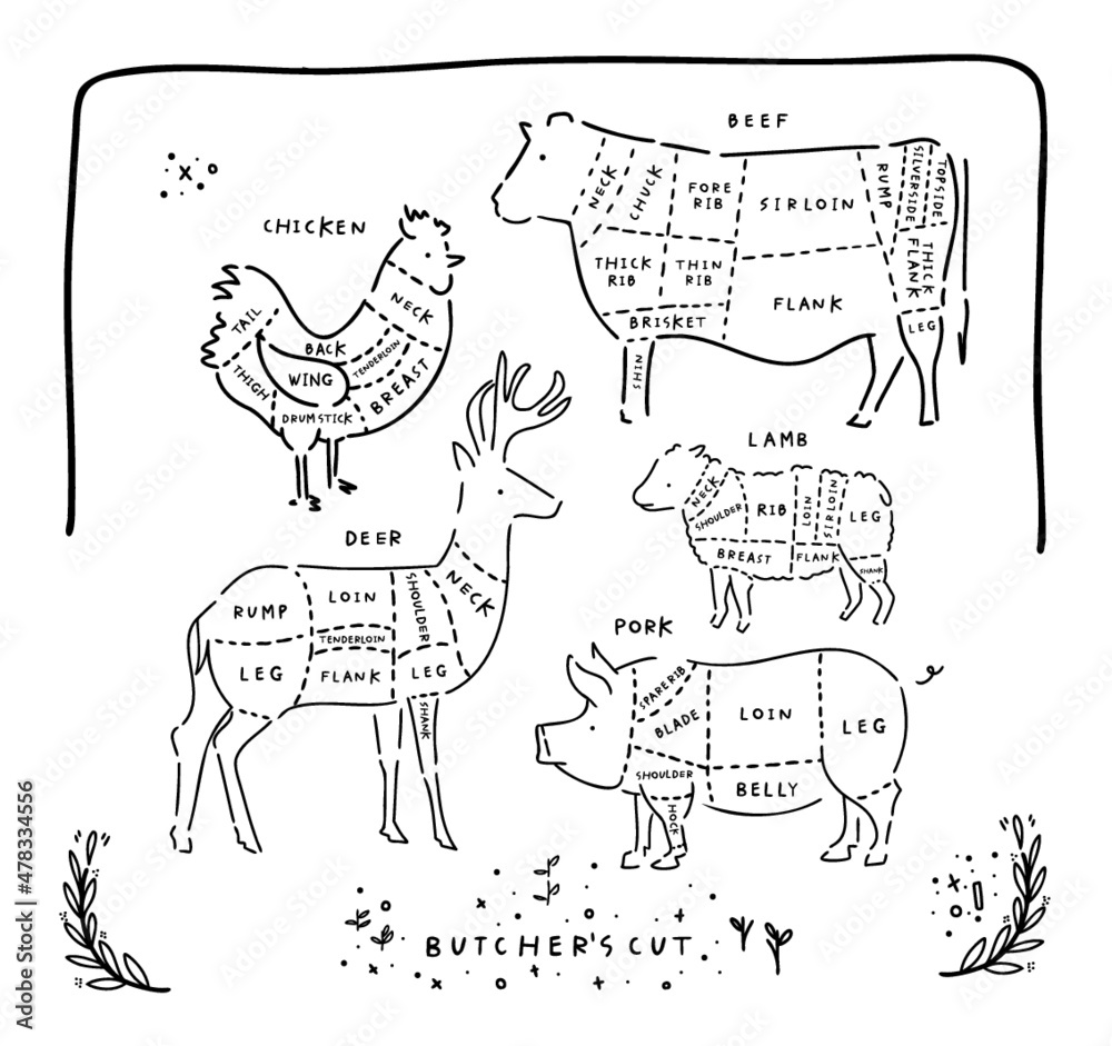 Cooking - meat cut parts, butcher guide to different parts of farm ...