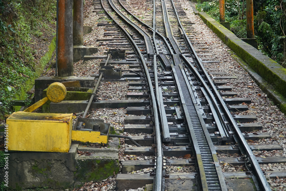 Track, rack and a switch with yellow lever on the famous rack railroad ...