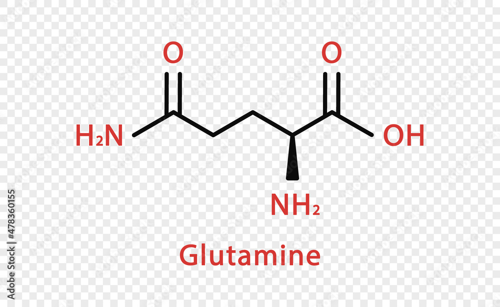 Glutamine chemical formula. Glutamine structural chemical formula ...
