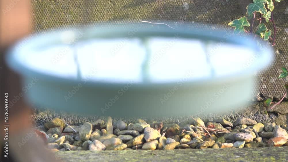 reflection in wind rippled water of upright light aqua coloured metal ...