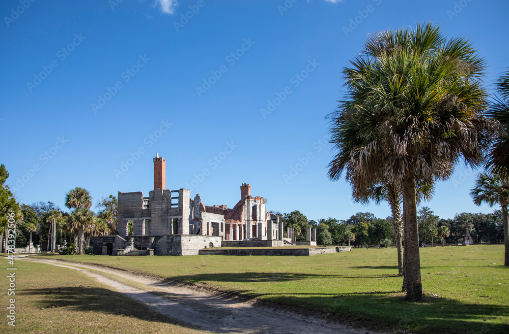 The ruins of Dungeness Mansion on Cumberland Island, Georgia, USA Stock ...