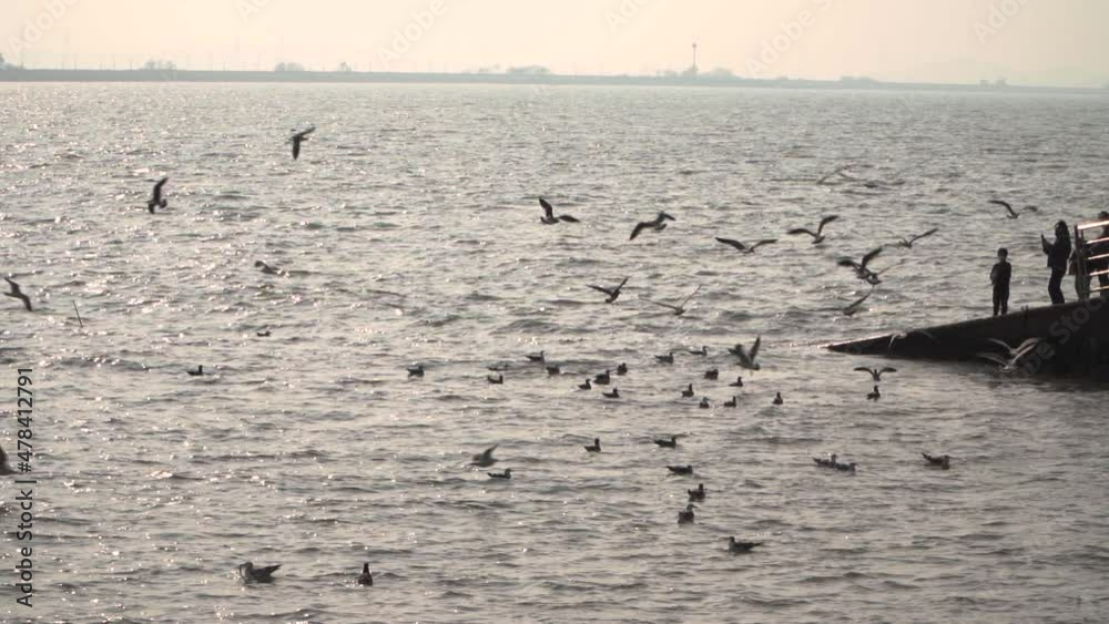 siheung-si, gyeonggi - Nov 2021 : Dating trip on a drive course in the ...