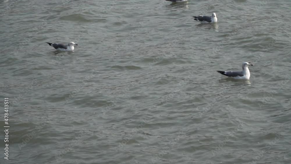 siheung-si, gyeonggi - Nov 2021 : Dating trip on a drive course in the ...