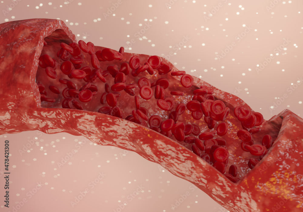Red blood cells inside an artery. Scientific and medical ...