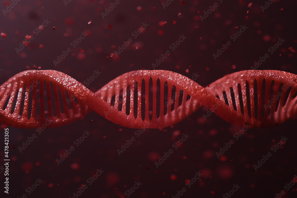 Red DNA gene helix spiral molecule structure background. 3D ...