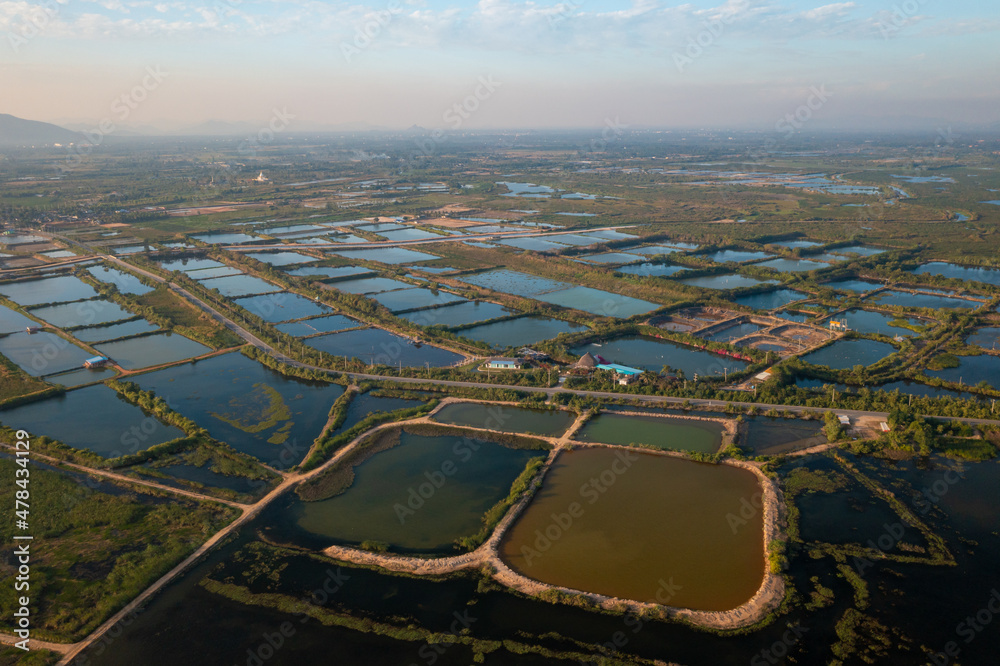 shrimp farm, prawn farming with with aerator pump oxygenation water ...