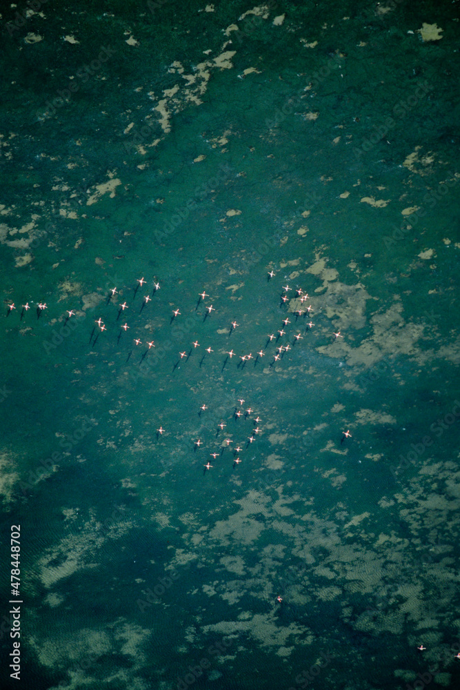 Banc d'Arguin National Park Sahara Desert Mauritania Africa Stock Photo ...