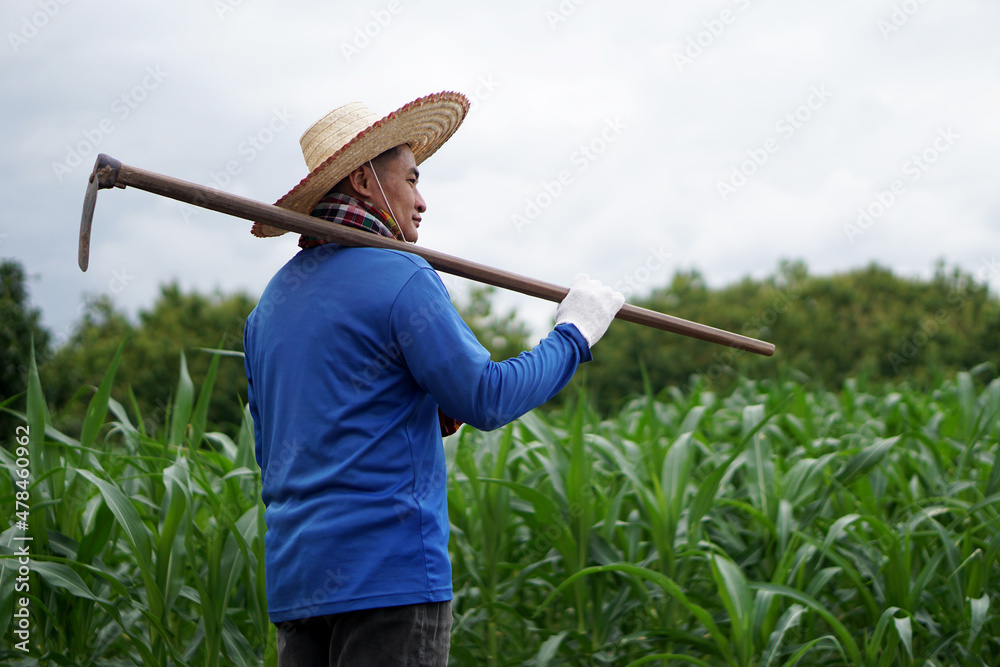 Asian farmer carry a hoe on shoulder to work at corn field. Concept ...