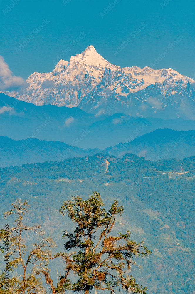 Beautiful view of trees of Silerygaon Village with Kanchenjunga mountain range at the background ...