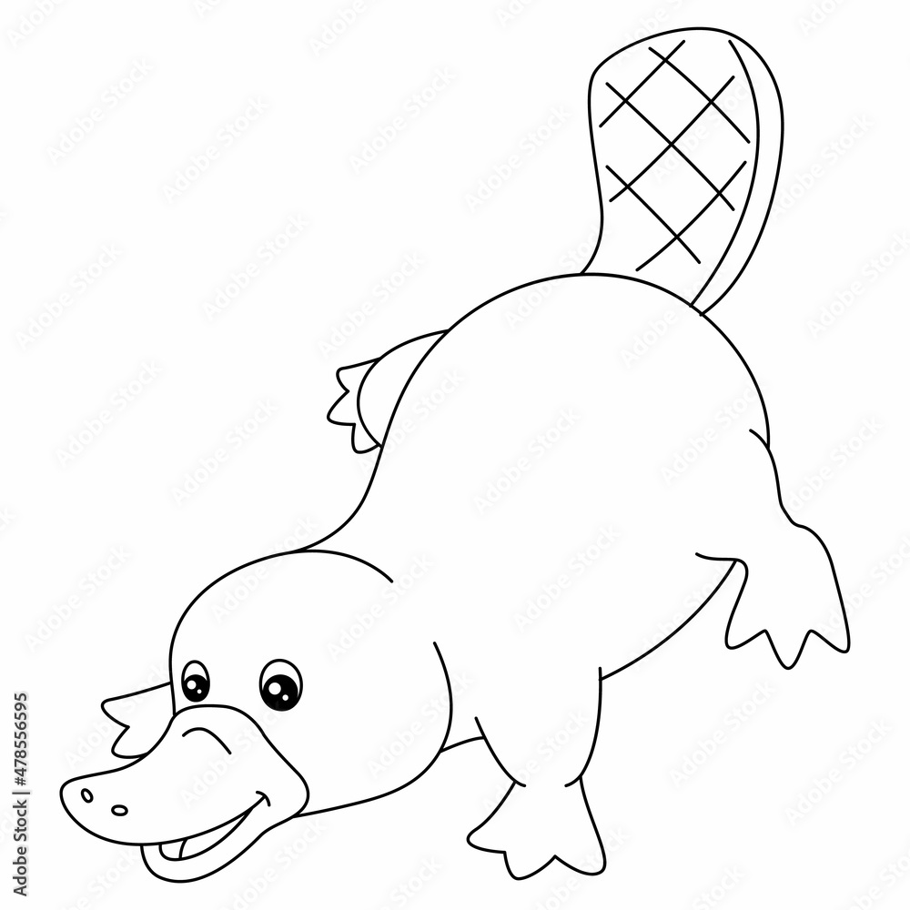Platypus Coloring Page Isolated for Kids Stock Vector | Adobe Stock