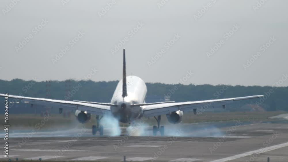 Jet airliner landing on runway. Back view on landing airplane. Small ...