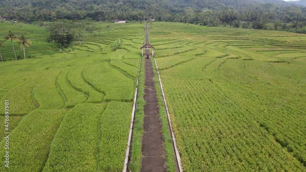 aerial view beautiful terraced rice fields in the Nanggulan area ...
