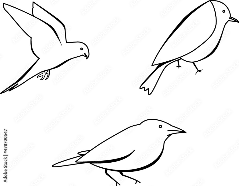 set of birds icons line art Stock Vector | Adobe Stock