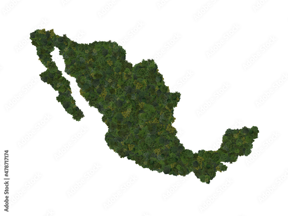 Top view of a forest of trees forming the map of Mexico. Top view ...