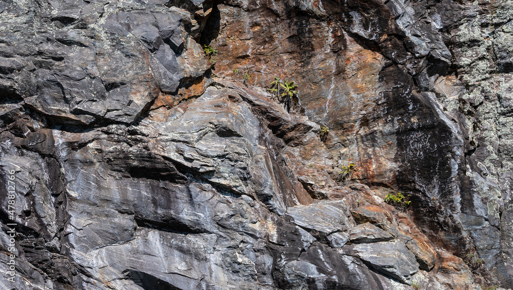 Nature Abstract: Pattern Created by Cracks and Crevices in a Solid Rock ...