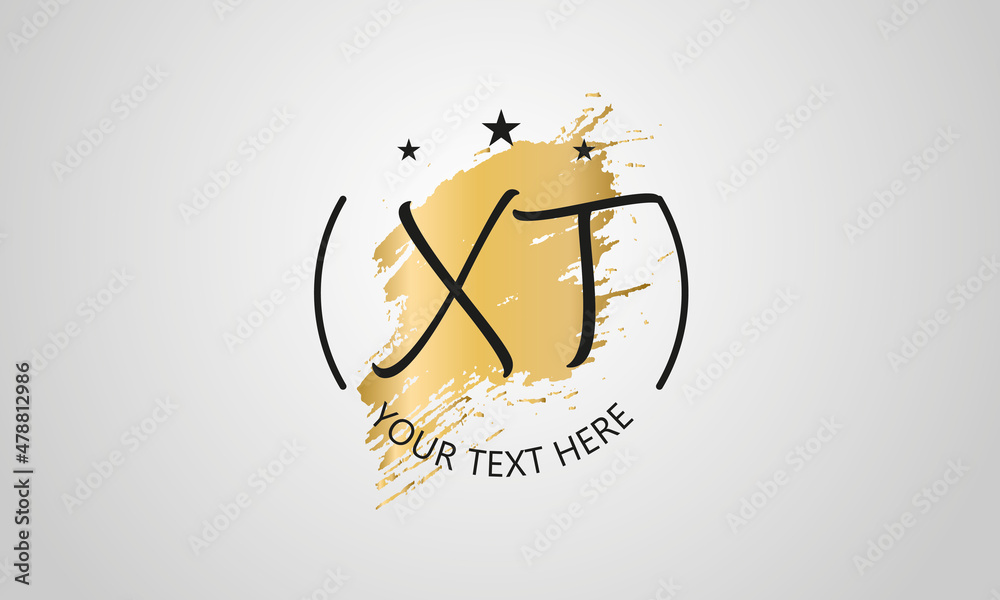 Handwritten feminine XT letter logo vector template design Stock Vector ...