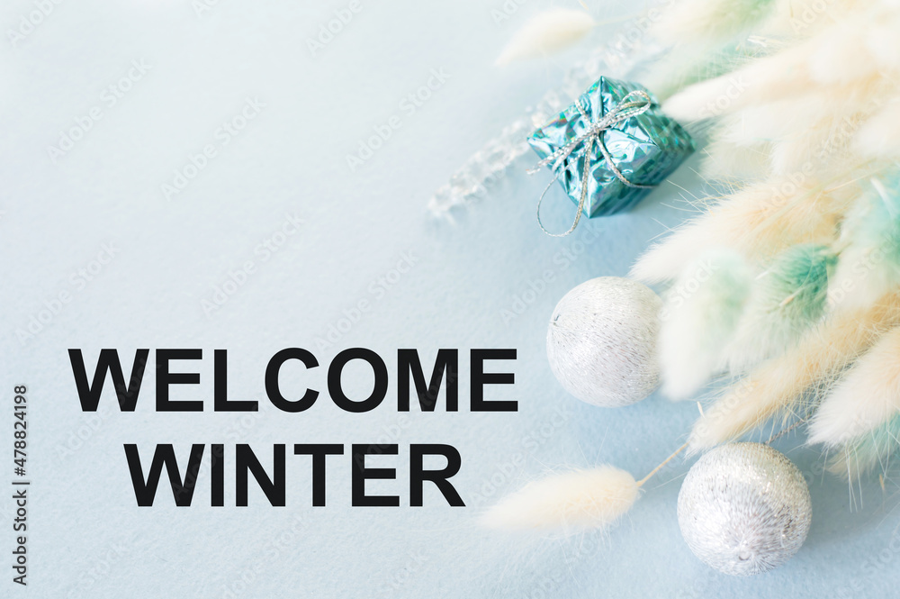 Welcome winter text on a blue background silver balls and fluffy ...