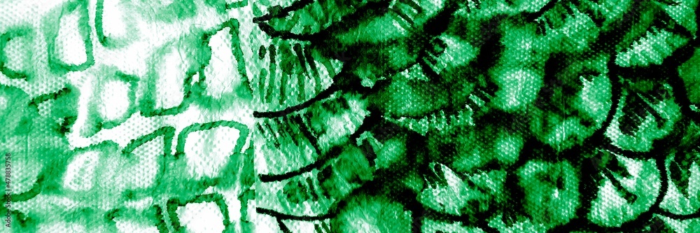 Animal Skin Pattern. Colorful Snake Skins. White Stock Photo | Adobe Stock