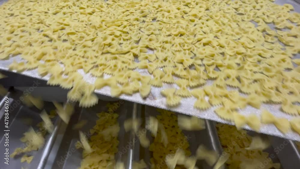 Overhead of raw dried organic pasta running on a steel conveyor belt in ...
