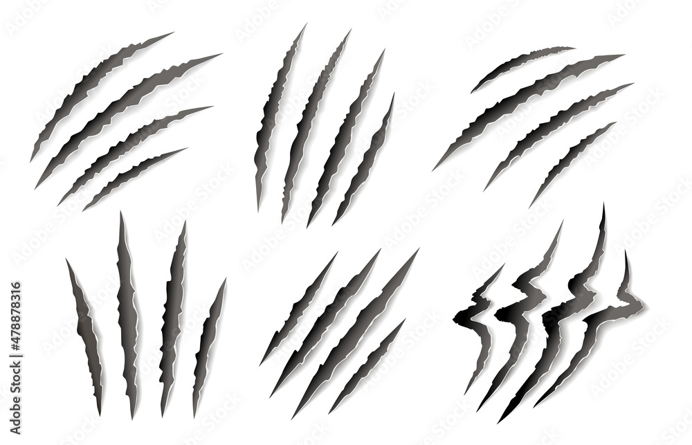 Set of animal claw paw marks, scratches, talons cuts cat, tiger, dog ...
