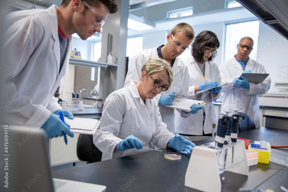 Science professor guiding students in scientific experiment laboratory ...
