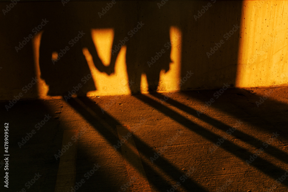 Couple Holding Hands Shadow During Golden Sunset Stock Photo | Adobe Stock