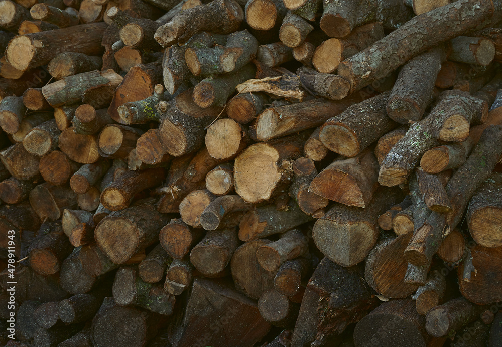 Pile of wood logs and stone wall background. Holm oak wood storage in a ...