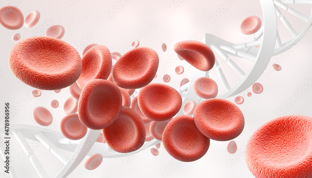 3d illustration of human red blood cells isolated on white background ...