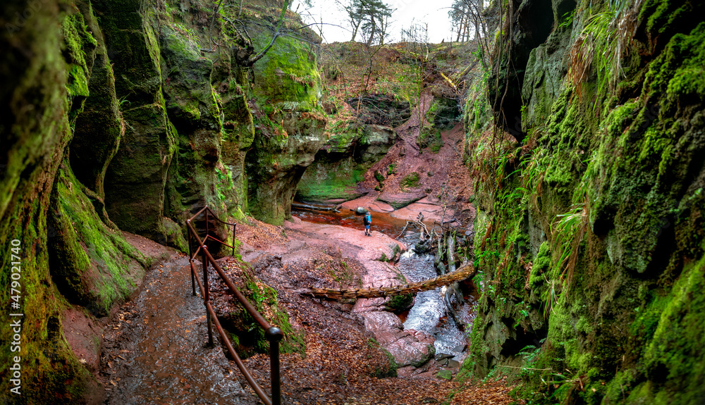 The Devils Pulpit, Finnich Glen, Scotland - Waterfall & stream flowing ...