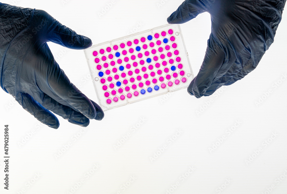Enzyme-linked immunosorbent assay (ELISA) 96 well micro plate ...